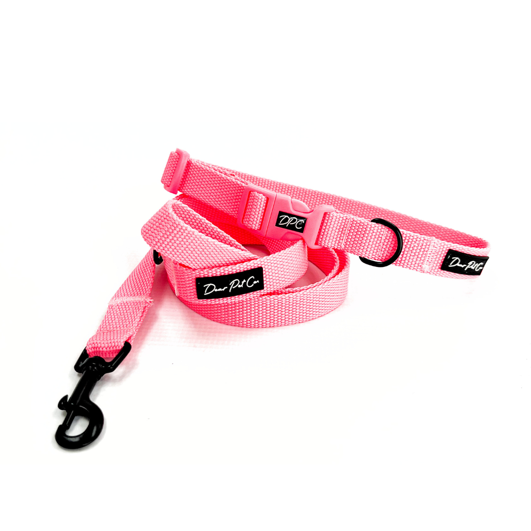 Webbing Leash | Neon Pink – Dear Pet Company