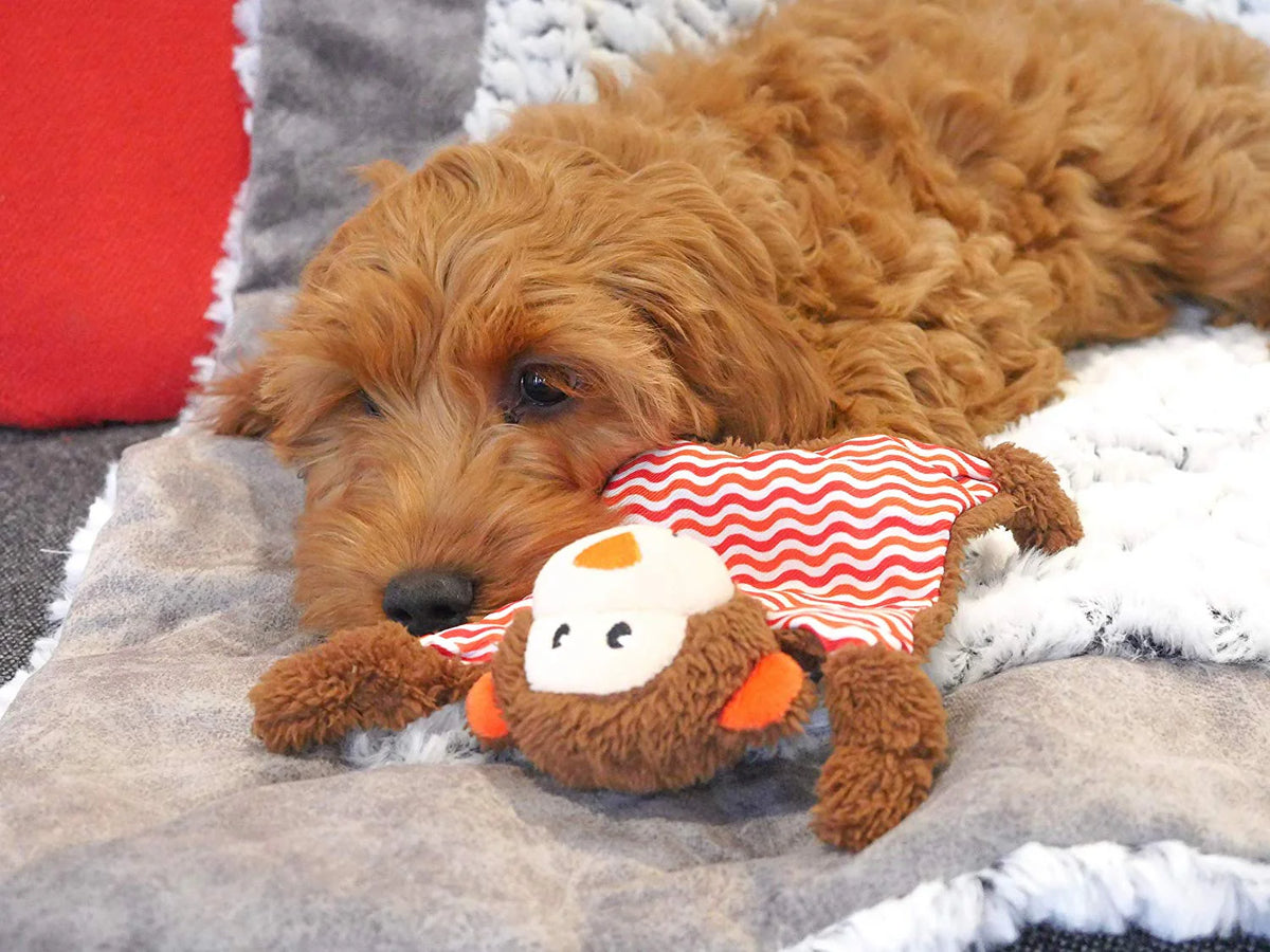 Pet Toy | Rosewood Little Nippers Cheeky Chimp – Dear Pet Company