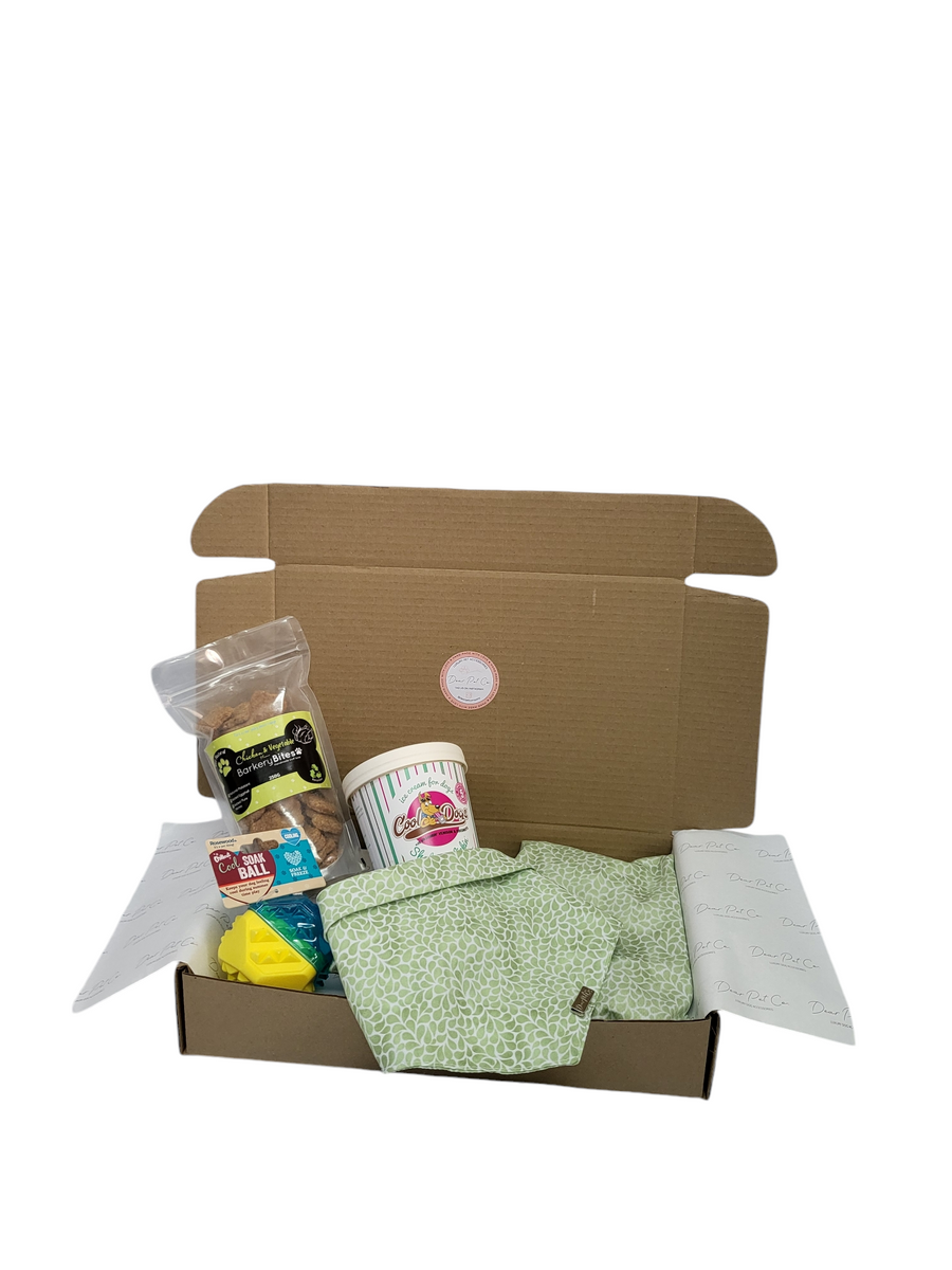 Summer Suprise | The Cool Soak Box – Dear Pet Company